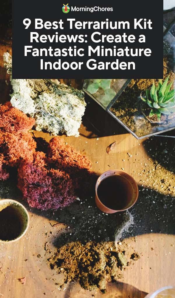 9 Best Terrarium Kit Reviews: Create a Fantastic Miniature Indoor Garden
