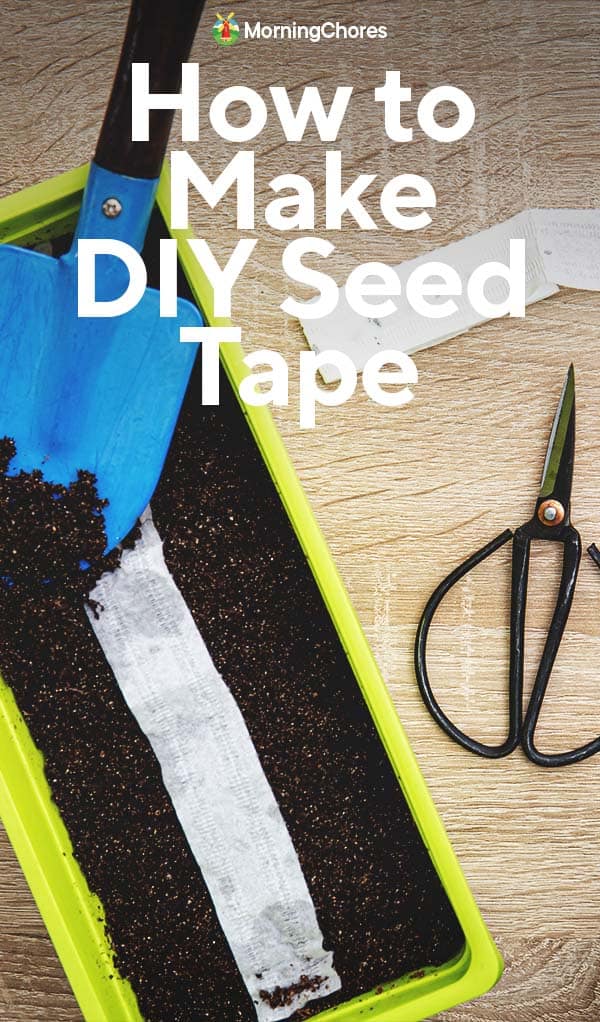 How to Make DIY Seed Tape and Use It to Sow Seeds