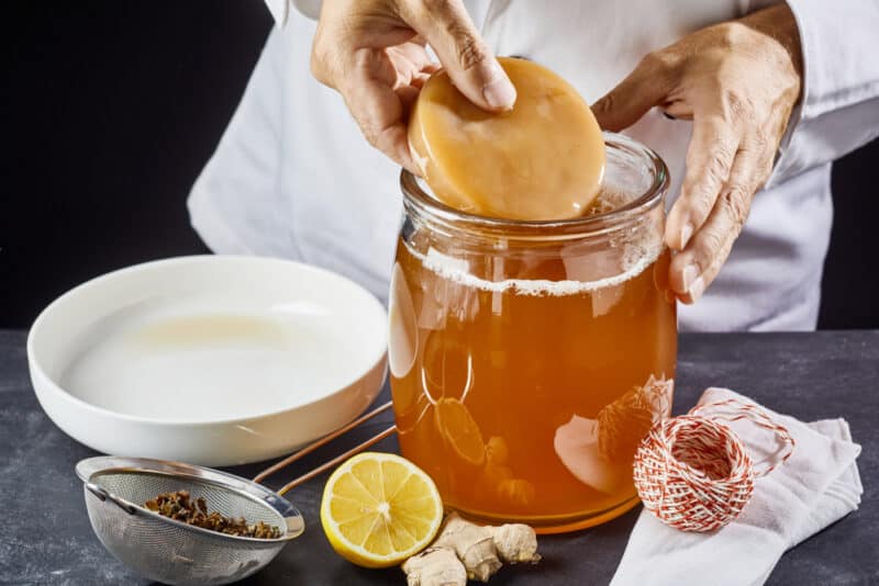 Make a Thriving Homemade Kombucha SCOBY in 3 Simple Steps